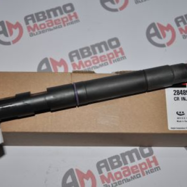 CR INJECTOR 28489548 DELPHI. Code: 28489548 Official distributor DELPHI ...
