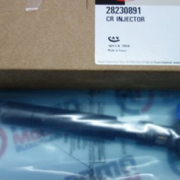 CR INJECTOR 28230891 DELPHI. Code: 28230891 Official distributor DELPHI ...